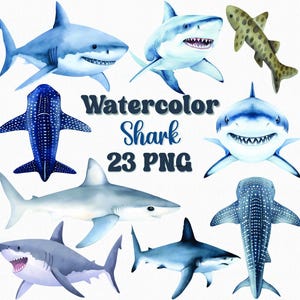 Watercolor Shark Clipart Set of 23 PNG, Cute Shark PNG, Ocean Animal ...
