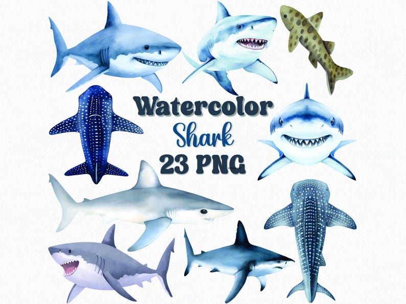 Watercolor Shark Clipart Set of 23 PNG, Cute Shark PNG, Ocean Animal ...