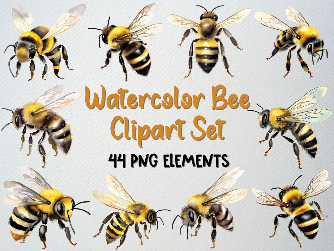 Watercolor Bee Clipart Set of 44 PNG Files, Insect Clipart, Honey Bee ...