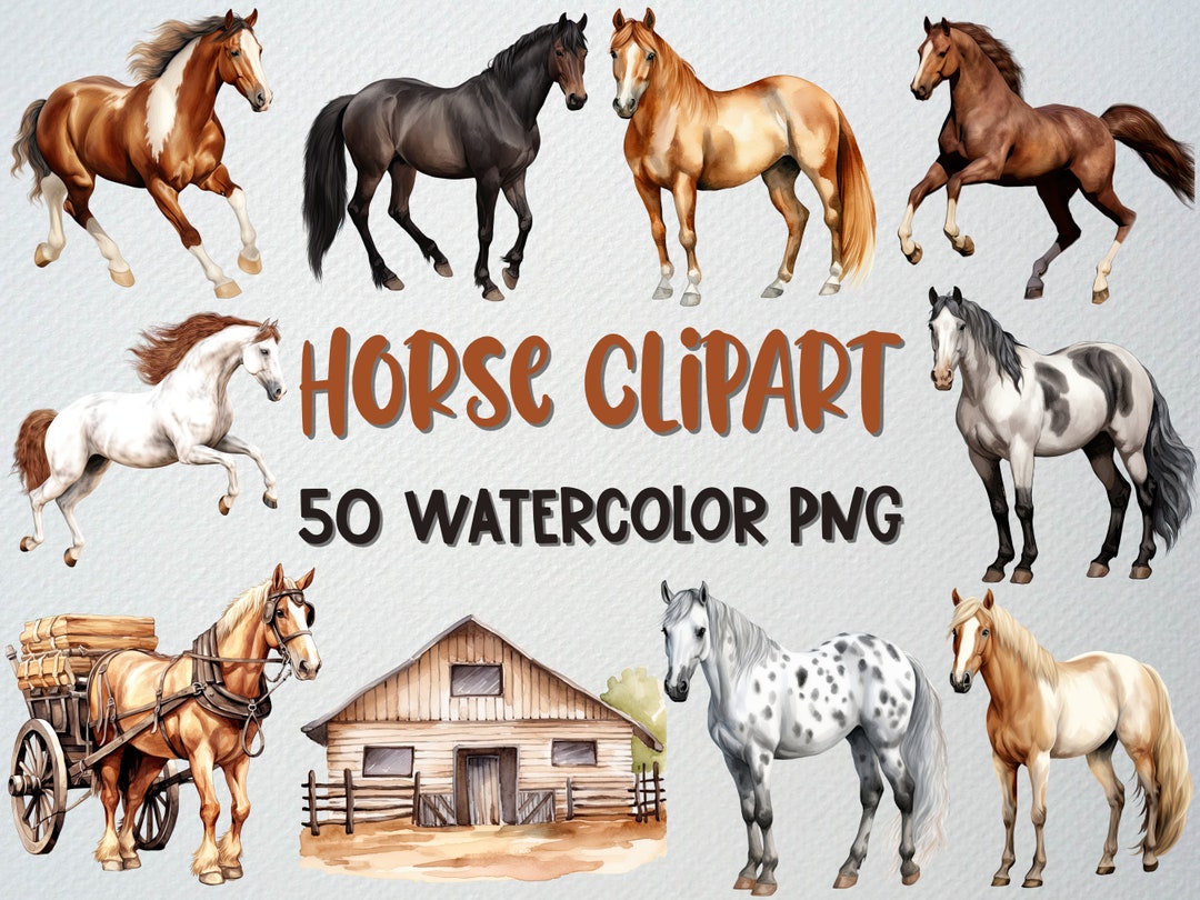 Watercolor Horse Clipart Set of 50 PNG Files, Farm Animal Clipart, Cute ...
