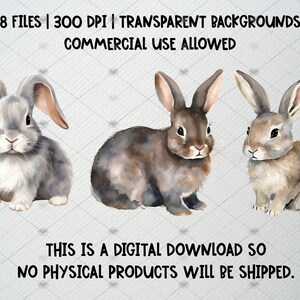 Watercolor Bunny Clipart Set of 28 PNG Files, Rabbit Clipart, Cute ...