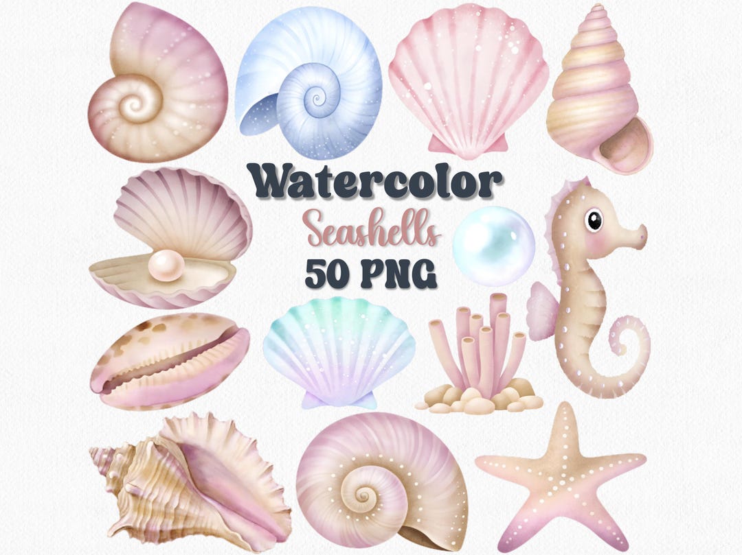 Watercolor Seashell Clipart Set, 50 PNG Files, Beach Ocean Shells ...