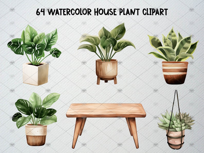 Watercolor House Plants Clipart Set of 64 PNG Files, Home Decor Clipart ...