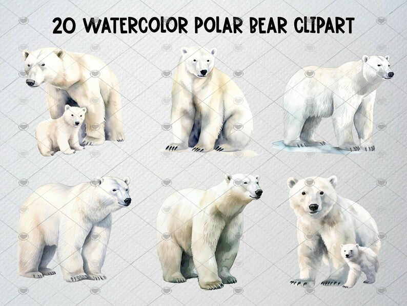 Watercolor Polar Bear Clipart Set of 20 PNG Files, Winter Animals ...