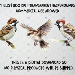Watercolor Sparrow Clipart Set of 31 PNG Files, Garden Birds Clipart ...