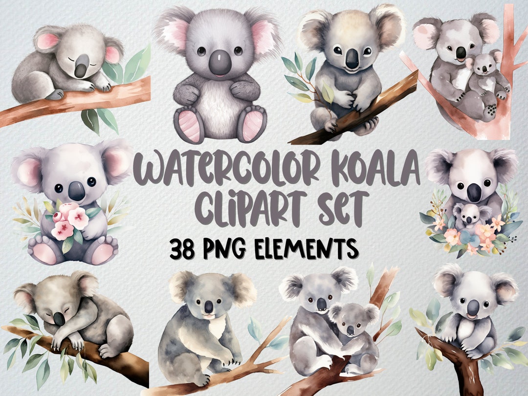 Watercolor Koala Clipart Set of 38 PNG Files, Cute Koala Clipart, Baby ...
