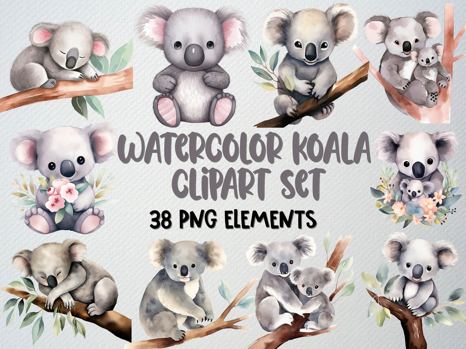 Watercolor Koala Clipart Set of 38 PNG Files, Cute Koala Clipart, Baby ...