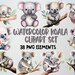 Watercolor Koala Clipart Set: 38 PNG Graphics, Commercial Use - Etsy