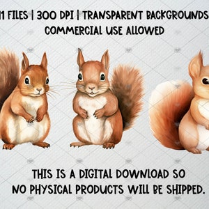 Watercolor Squirrel Clipart Set of 41 PNG Files, Woodland Animals ...