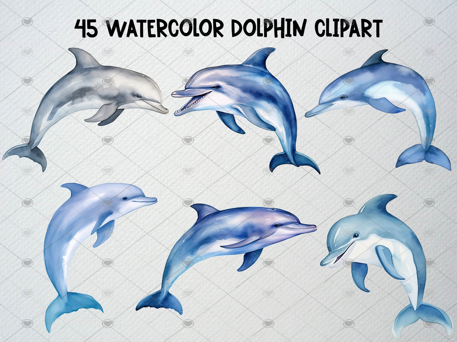 Watercolor Dolphin Clipart Set of 45 PNG Files, Ocean Animal Clipart ...