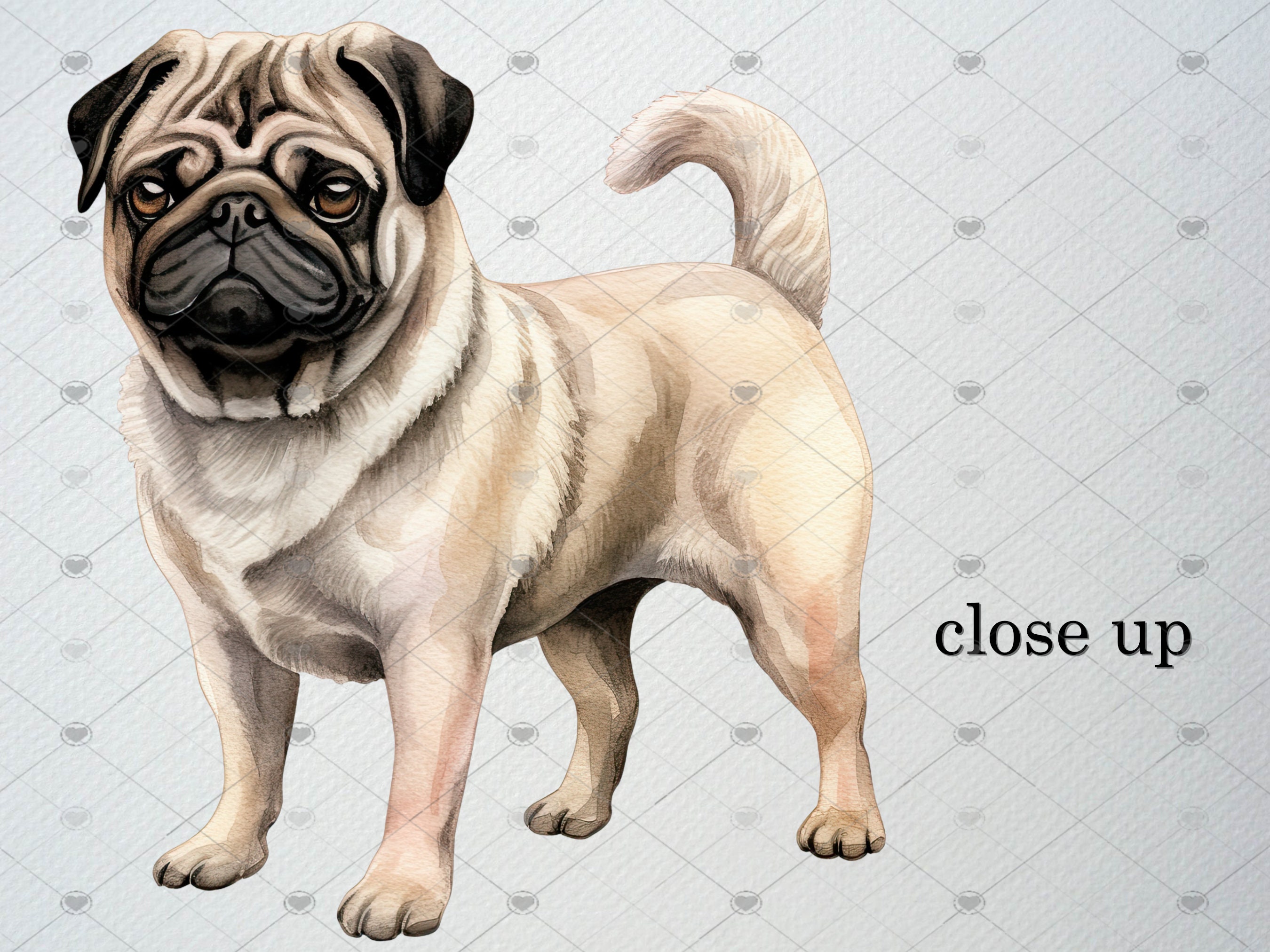 Watercolor Pug Clipart Set of 38 PNG Files, Pet Dog Clipart, Cute Pug ...