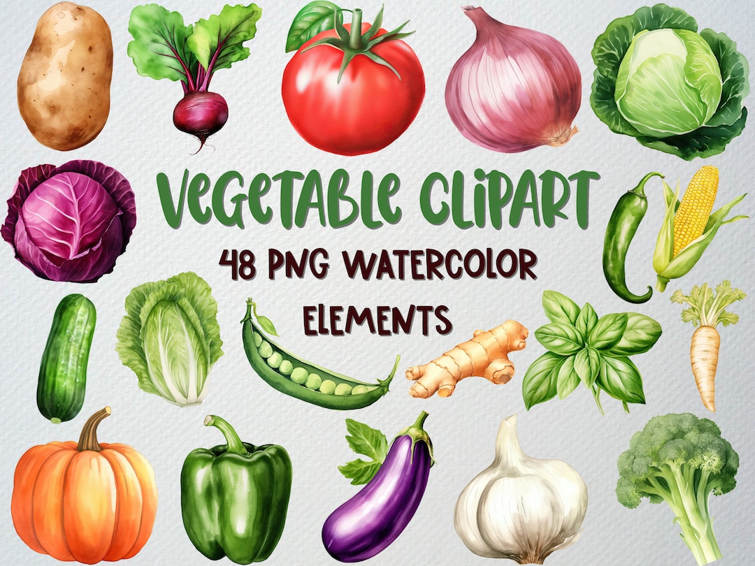 Watercolor Vegetable Clipart Set of 48 PNG Files, Veggie Clipart, Food ...
