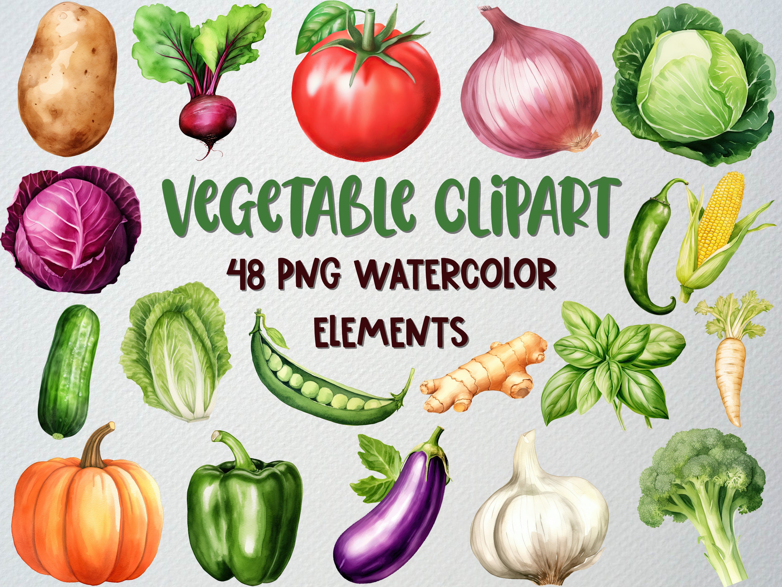 Watercolor Vegetable Clipart Set of 48 PNG Files, Veggie Clipart, Food ...