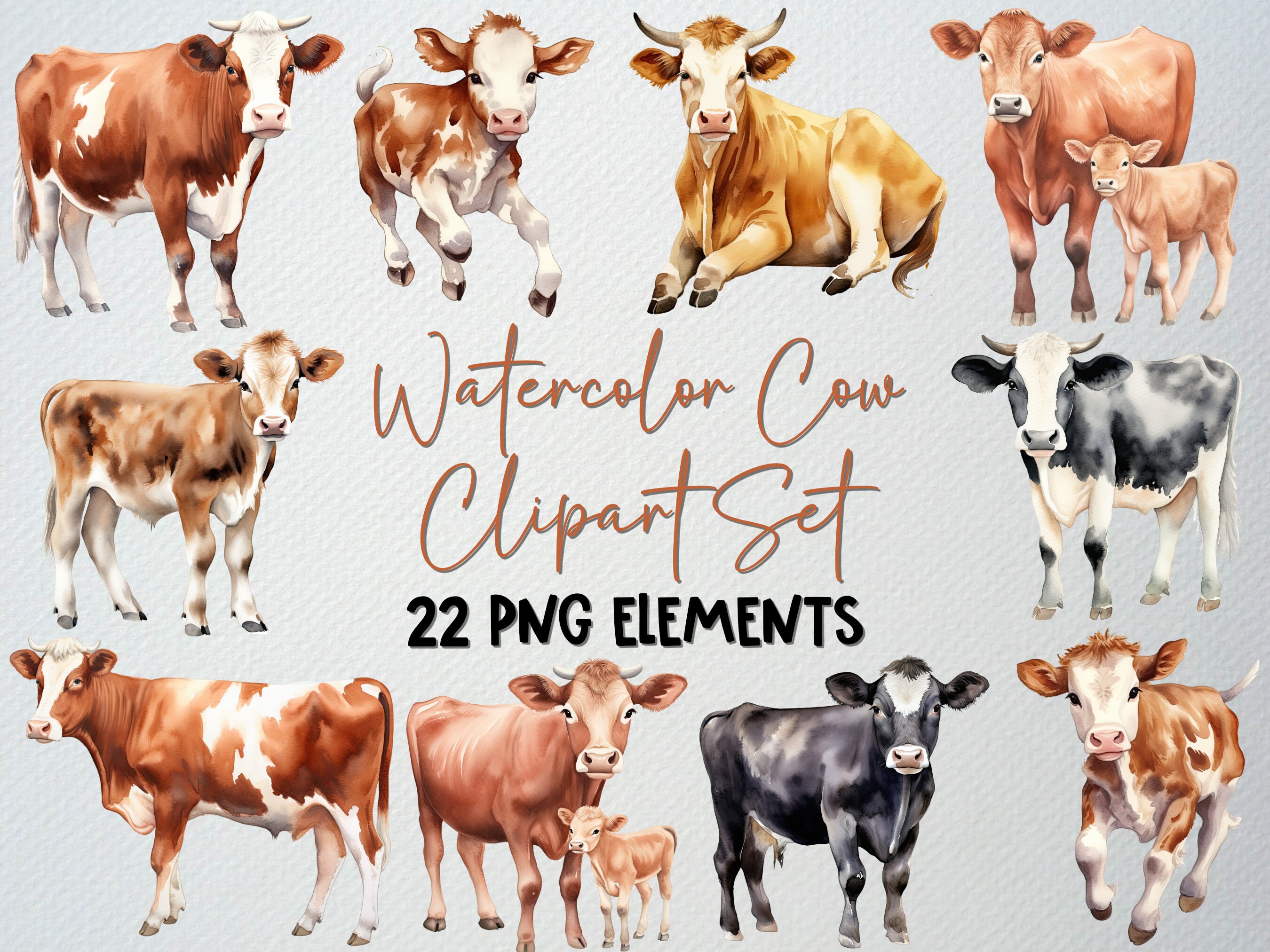 Watercolor Cow Clipart Set of 22 PNG Files, Cow Illustration, Baby Cow ...
