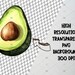 Watercolor Avocado Clipart Set of 30 PNG Files, Tropical Fruit Clipart ...