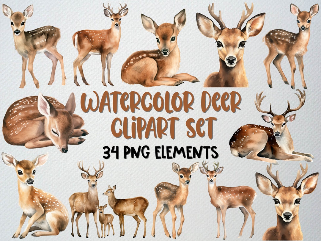 Watercolor Deer Clipart Set of 34 PNG Files, Baby Deer Clipart, Deer ...