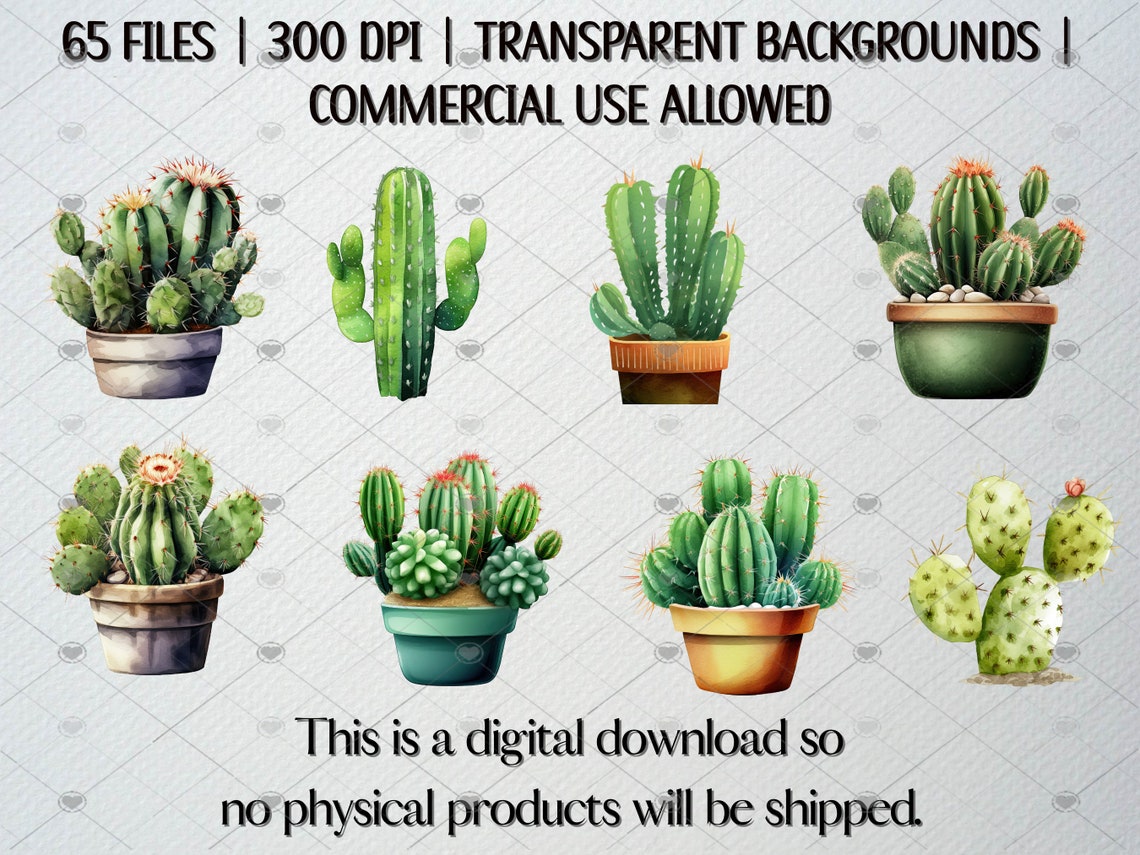Cactus Clipart Set of 65 PNG Files, Watercolor Cactus Clip Art ...
