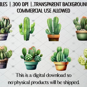 Cactus Clipart Set of 65 PNG Files, Watercolor Cactus Clip Art ...
