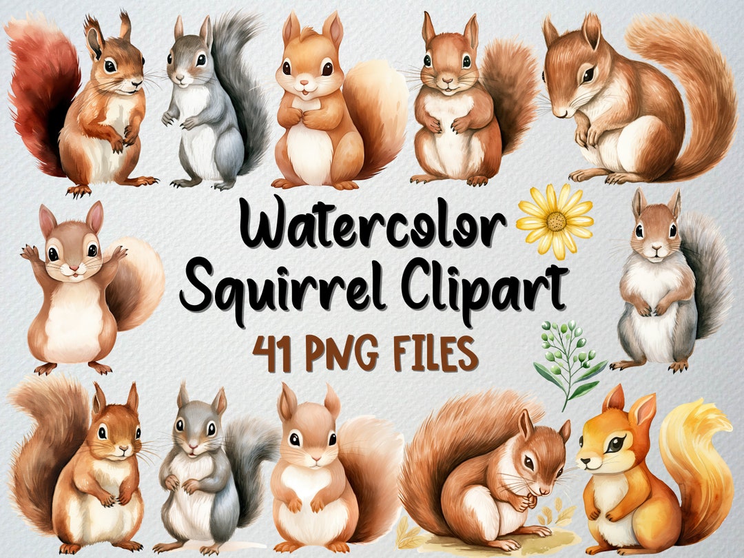 Watercolor Squirrel Clipart Set of 41 PNG Files, Woodland Animals ...