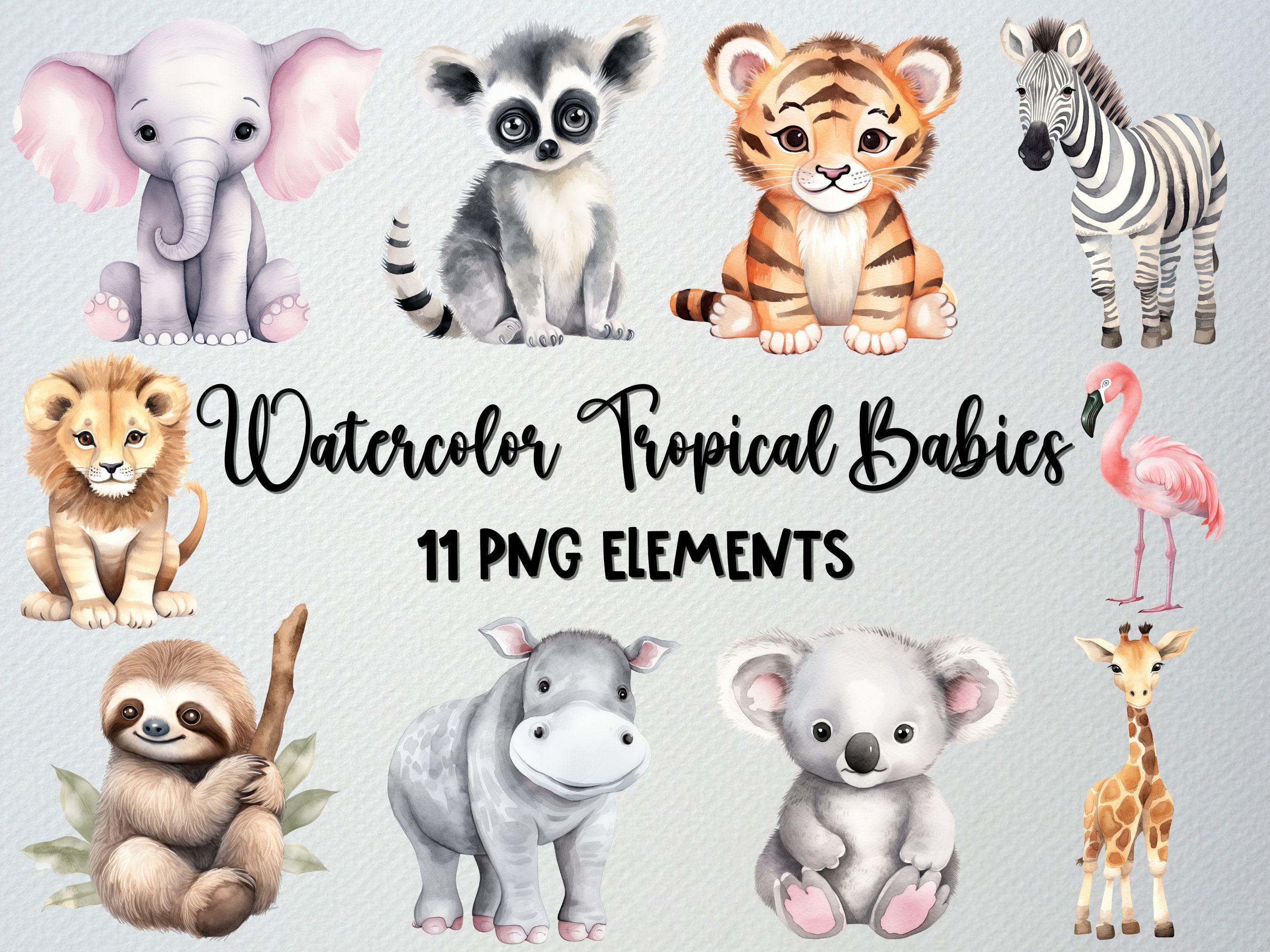 Watercolor Tropical Babies Clipart Set of 11 PNG Files, Baby Animals ...