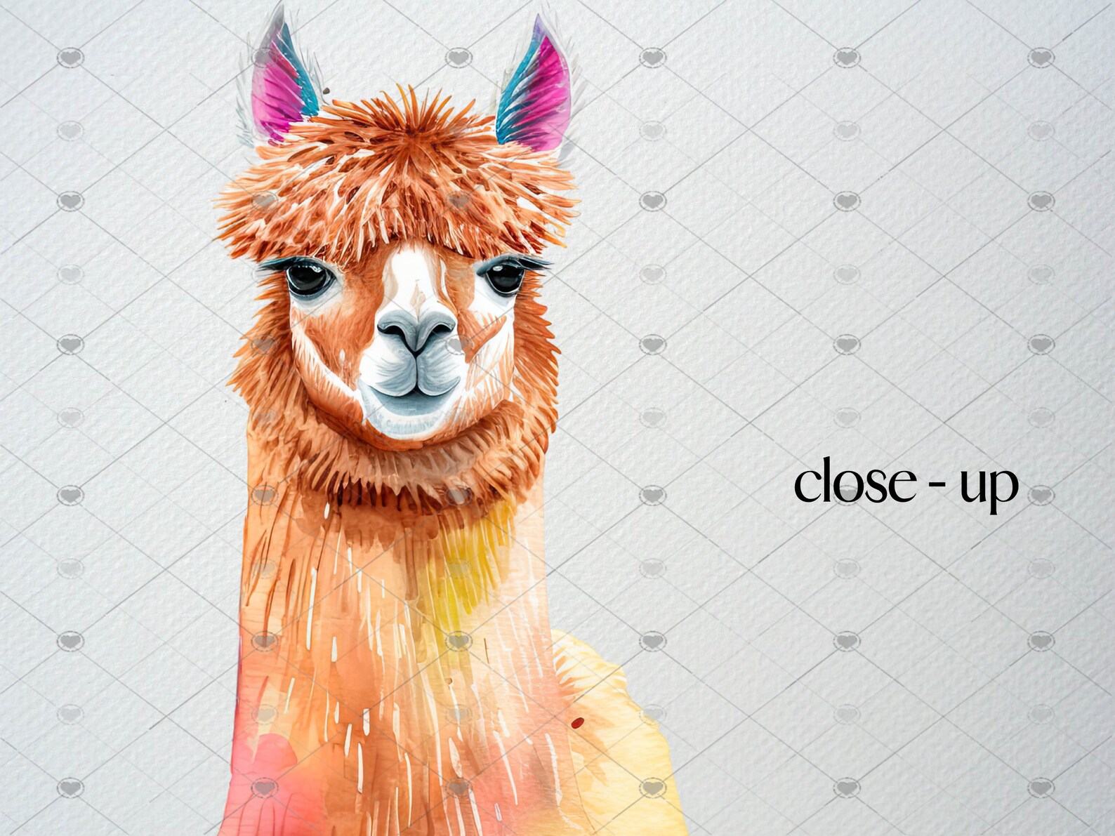 Llama Clipart, Hand Drawn Watercolor Llama Clipart Set of 43 PNG Files ...