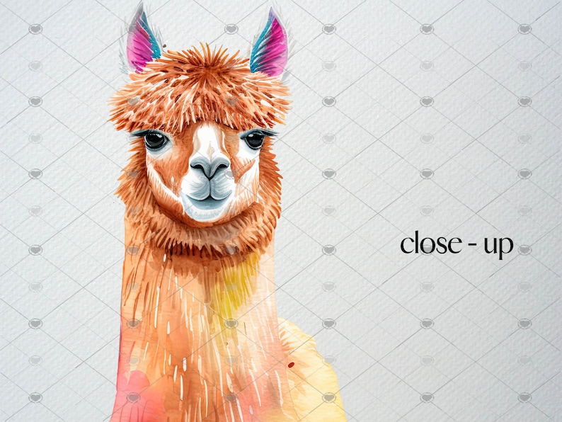 Llama Clipart, Hand Drawn Watercolor Llama Clipart Set of 43 PNG Files ...