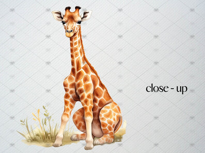 Watercolor Giraffe Clipart Set of 35 PNG Files, Baby Giraffe Clipart ...