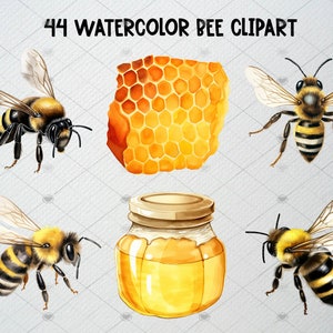 Watercolor Bee Clipart Set of 44 PNG Files, Insect Clipart, Honey Bee ...