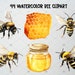 Watercolor Bee Clipart Set of 44 PNG Files, Insect Clipart, Honey Bee ...