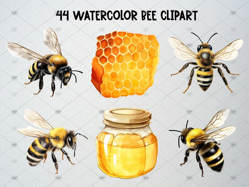 Watercolor Bee Clipart Set of 44 PNG Files, Insect Clipart, Honey Bee ...