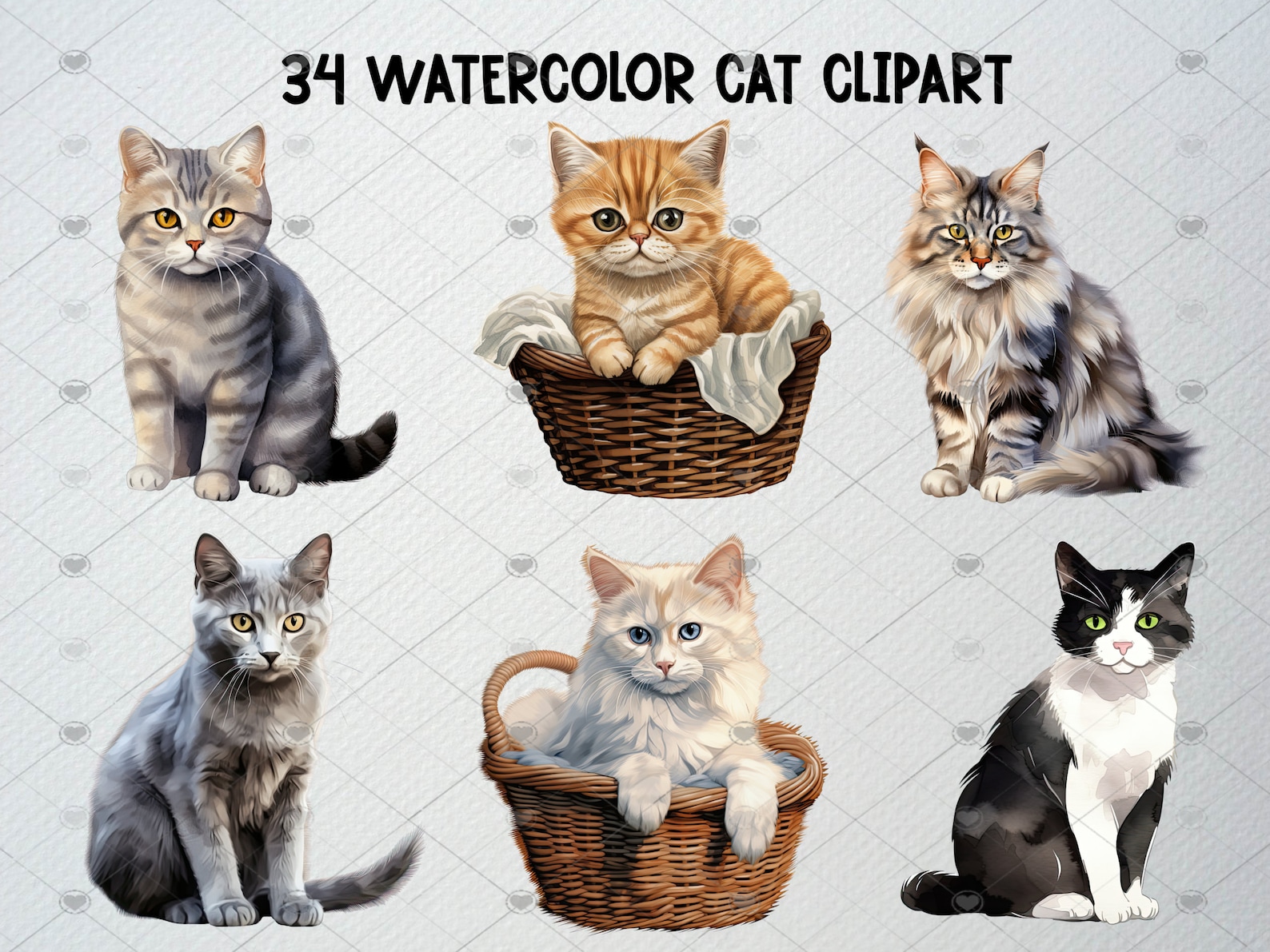 Watercolor Cat Clipart Set of 34 PNG Files, Kitten Clipart, Feline ...