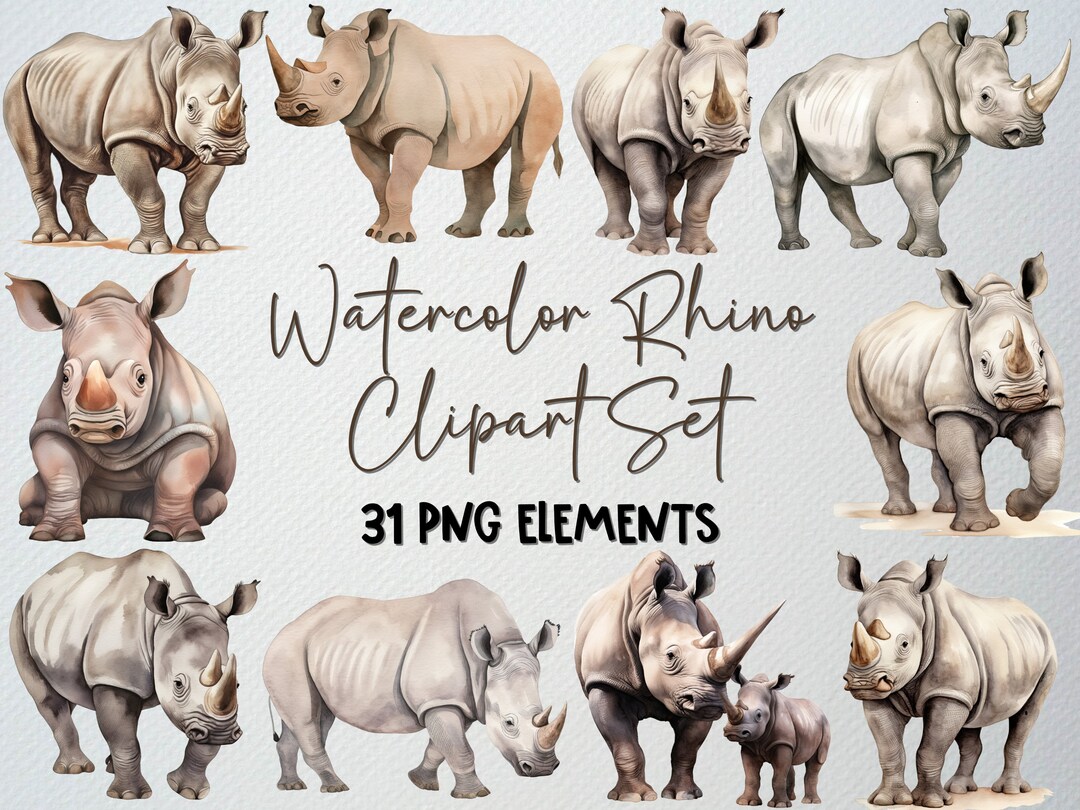 Watercolor Rhino Clipart Set of 31 PNG Files, Rhinoceros Clipart ...