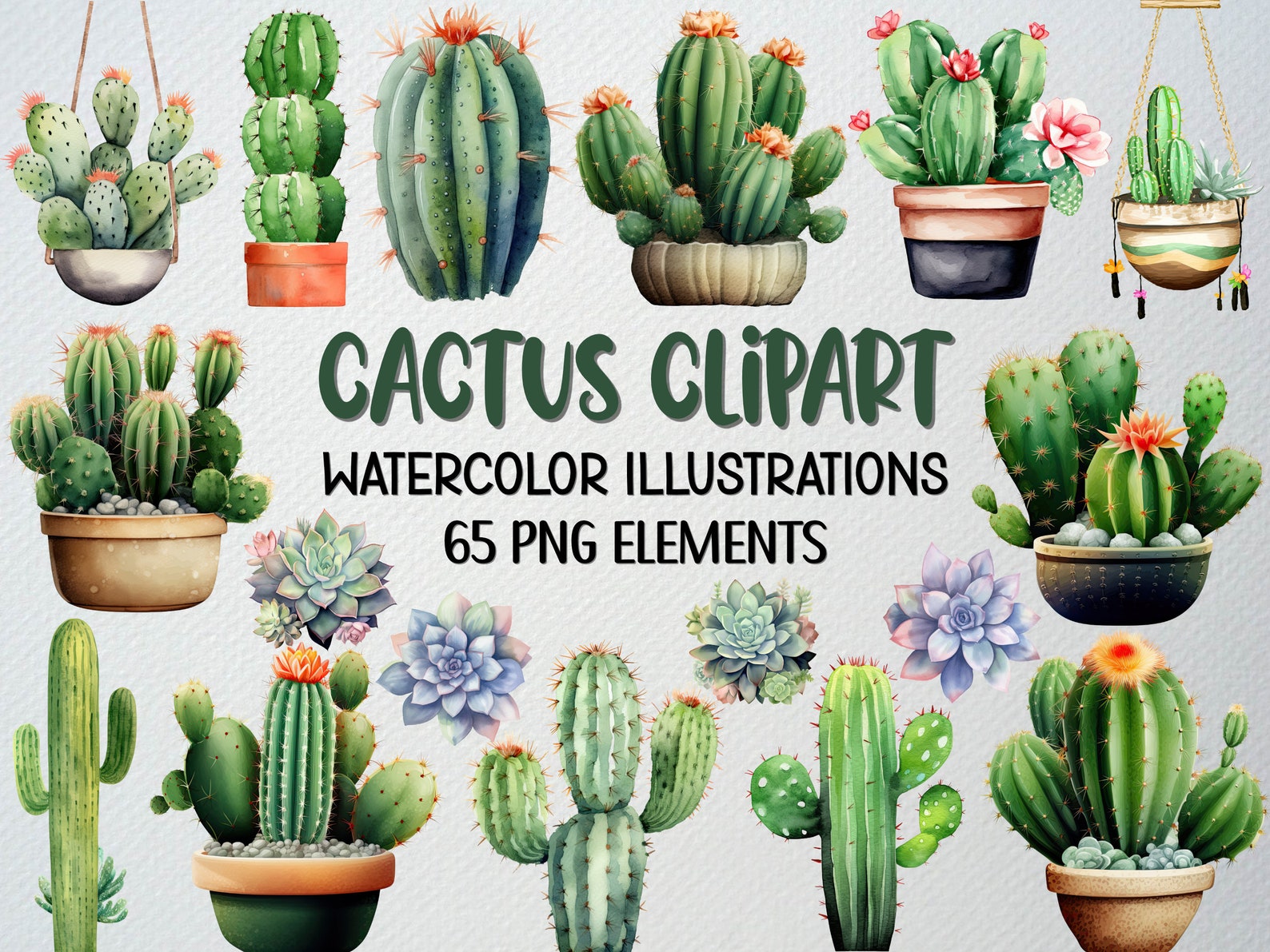 Cactus Clipart Set of 65 PNG Files, Watercolor Cactus Clip Art ...