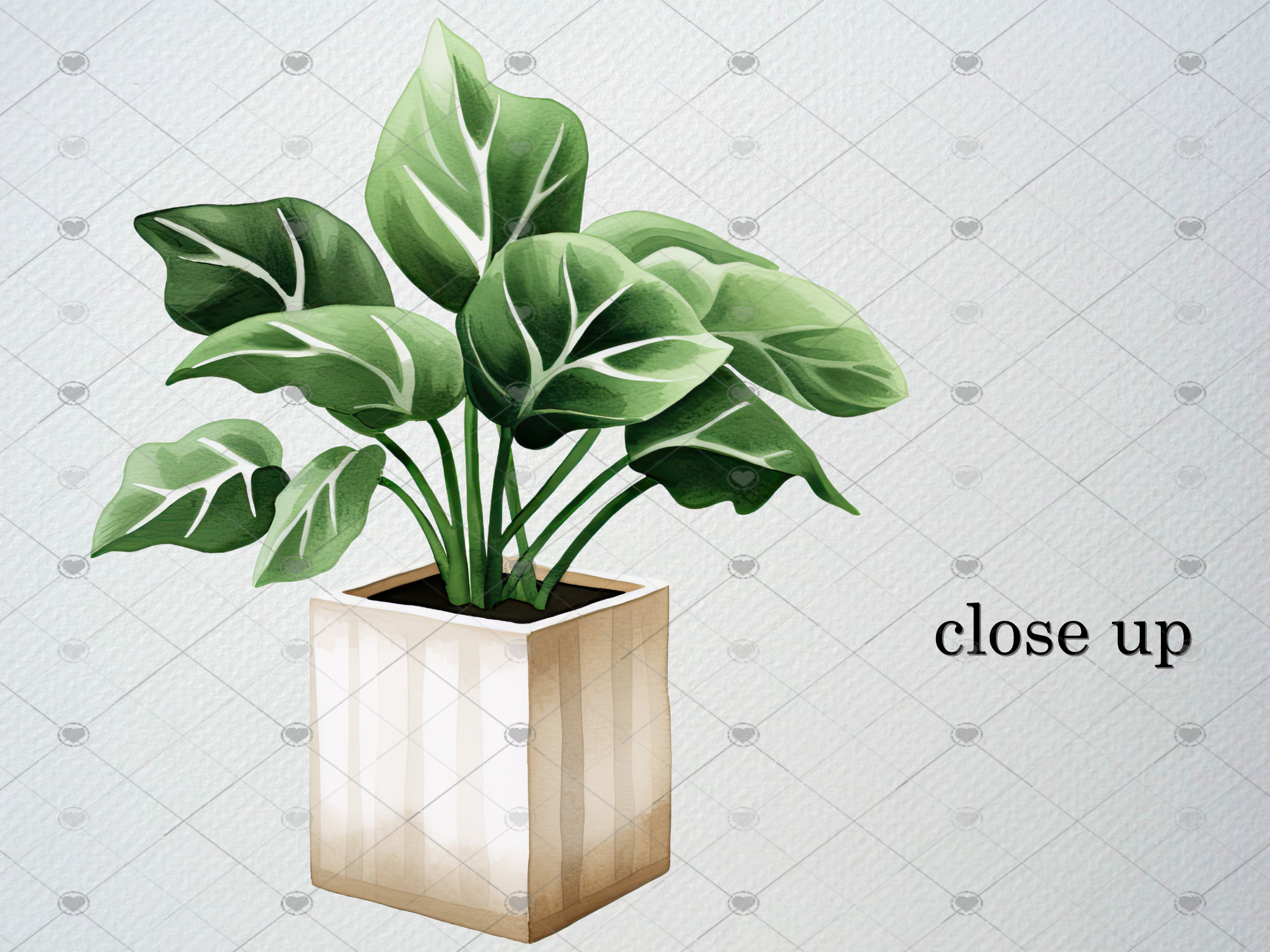 Watercolor House Plants Clipart Set of 64 PNG Files, Home Decor Clipart ...