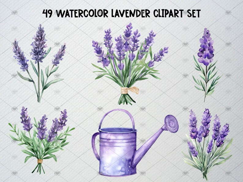 Watercolor Lavender Clipart Set of 49 PNG, Lavender Illustration ...