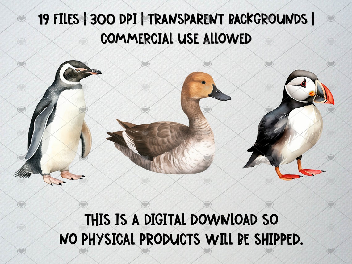 Watercolor Arctic Animals Clipart Set of 19 PNG Files, Winter Clipart ...