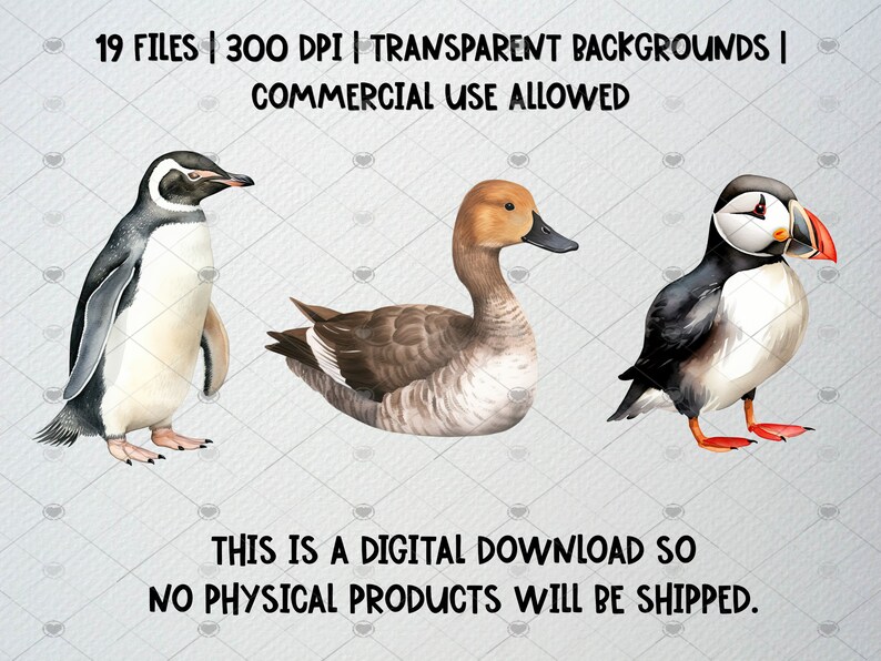 Watercolor Arctic Animals Clipart Set of 19 PNG Files, Winter Clipart ...