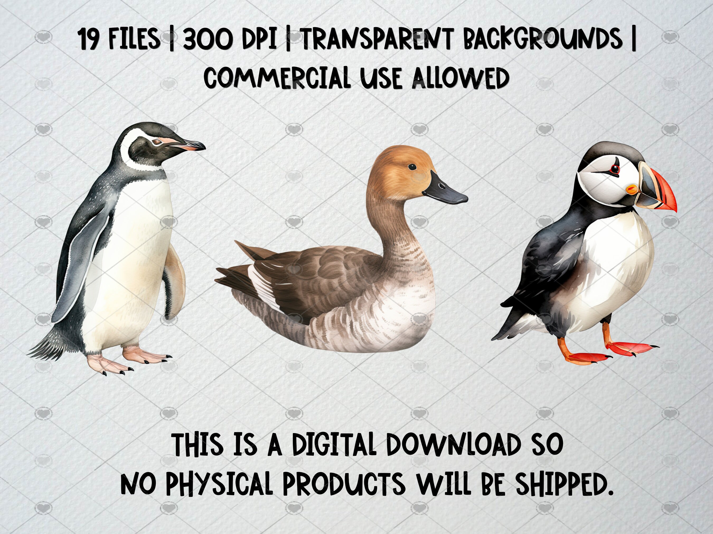 Watercolor Arctic Animals Clipart Set of 19 PNG Files, Winter Clipart ...
