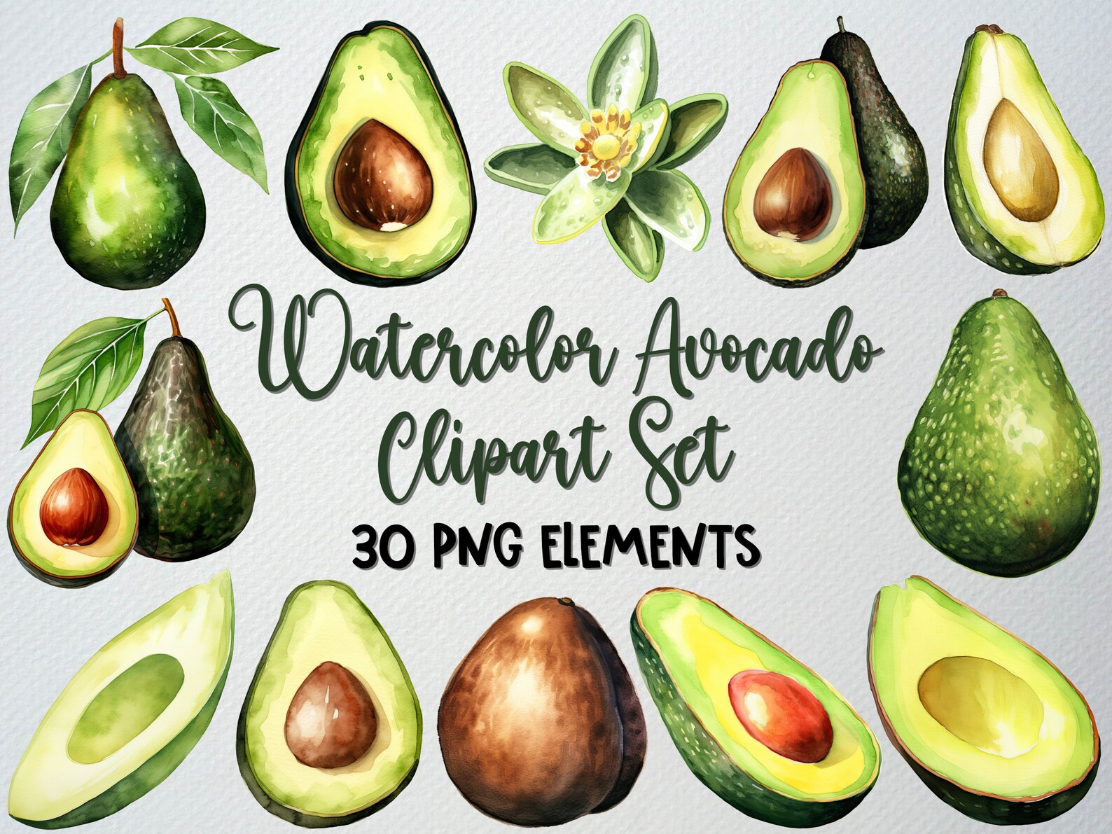 Watercolor Avocado Clipart Set of 30 PNG Files, Tropical Fruit Clipart ...