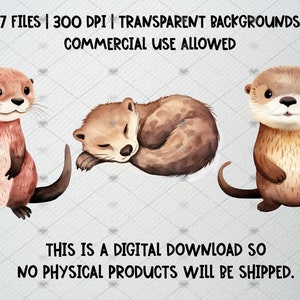 Watercolor Otter Clipart Set of 37 PNG, Cute Otter Clipart, Sea Otter ...