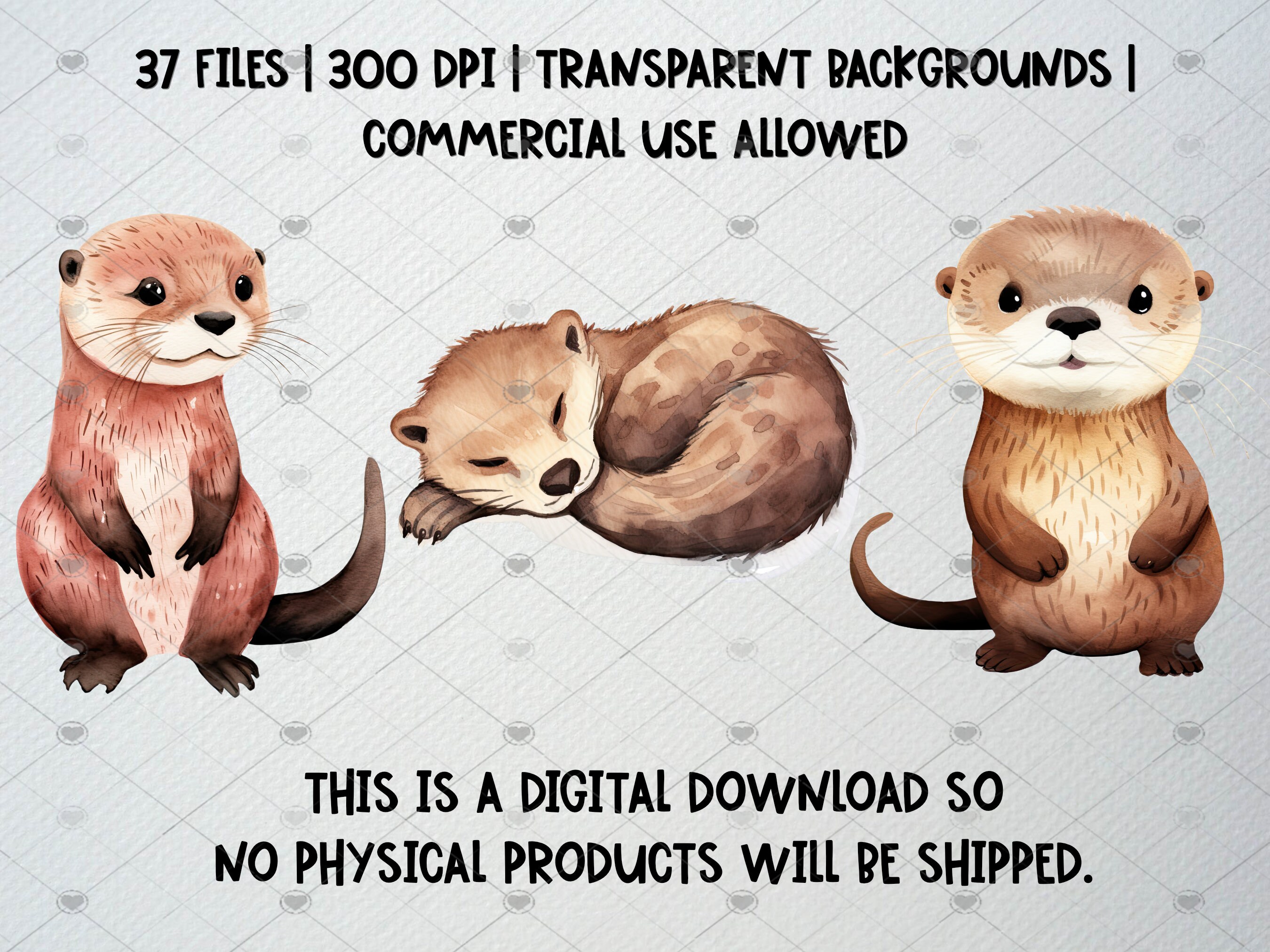 Watercolor Otter Clipart Set of 37 PNG, Cute Otter Clipart, Sea Otter ...