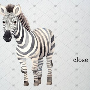 Watercolor Tropical Babies Clipart Set of 11 PNG Files, Baby Animals ...