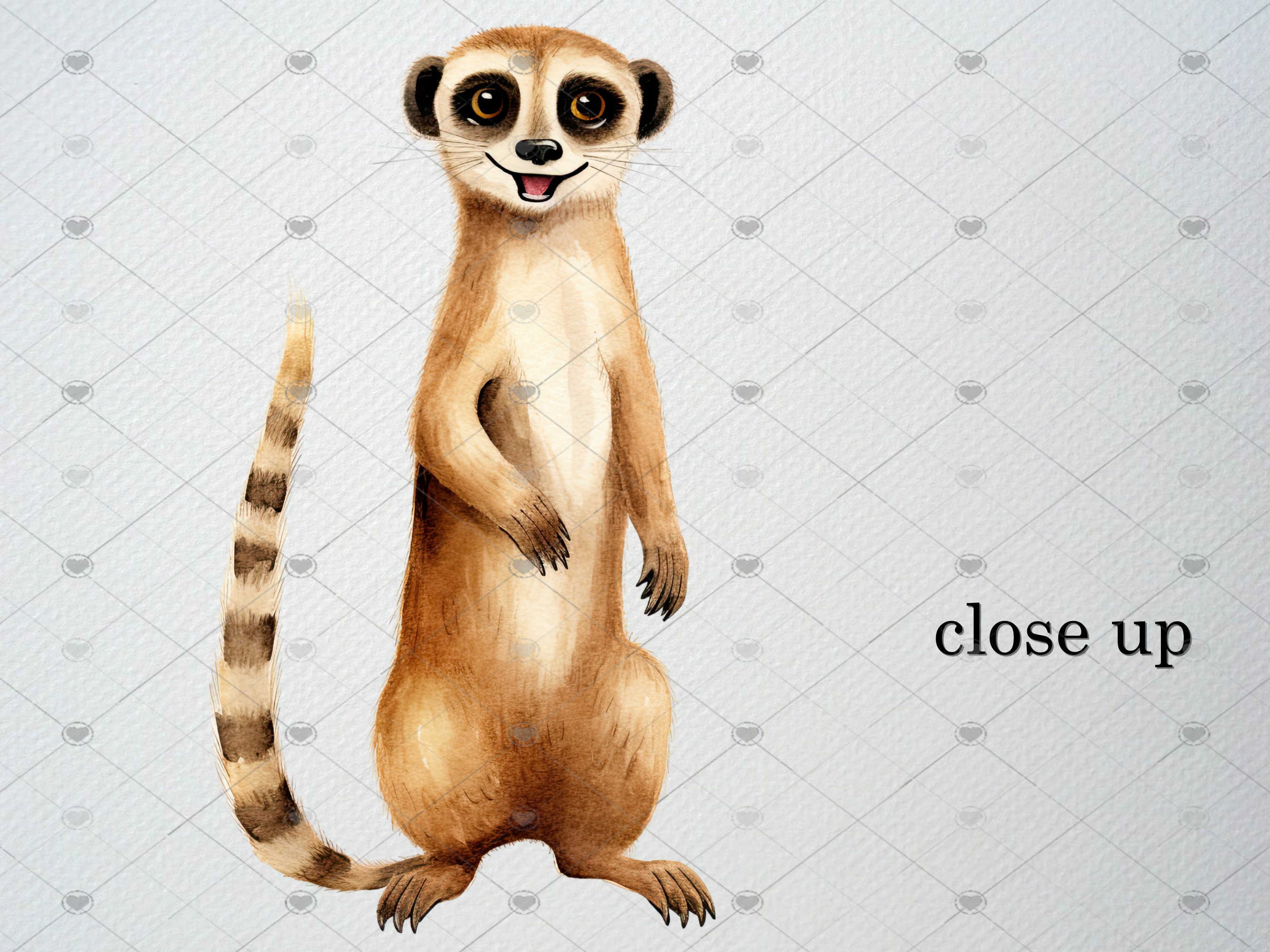 Watercolor Meerkat Clipart Set of 41 PNG, Meerkat Illustration, Animal ...