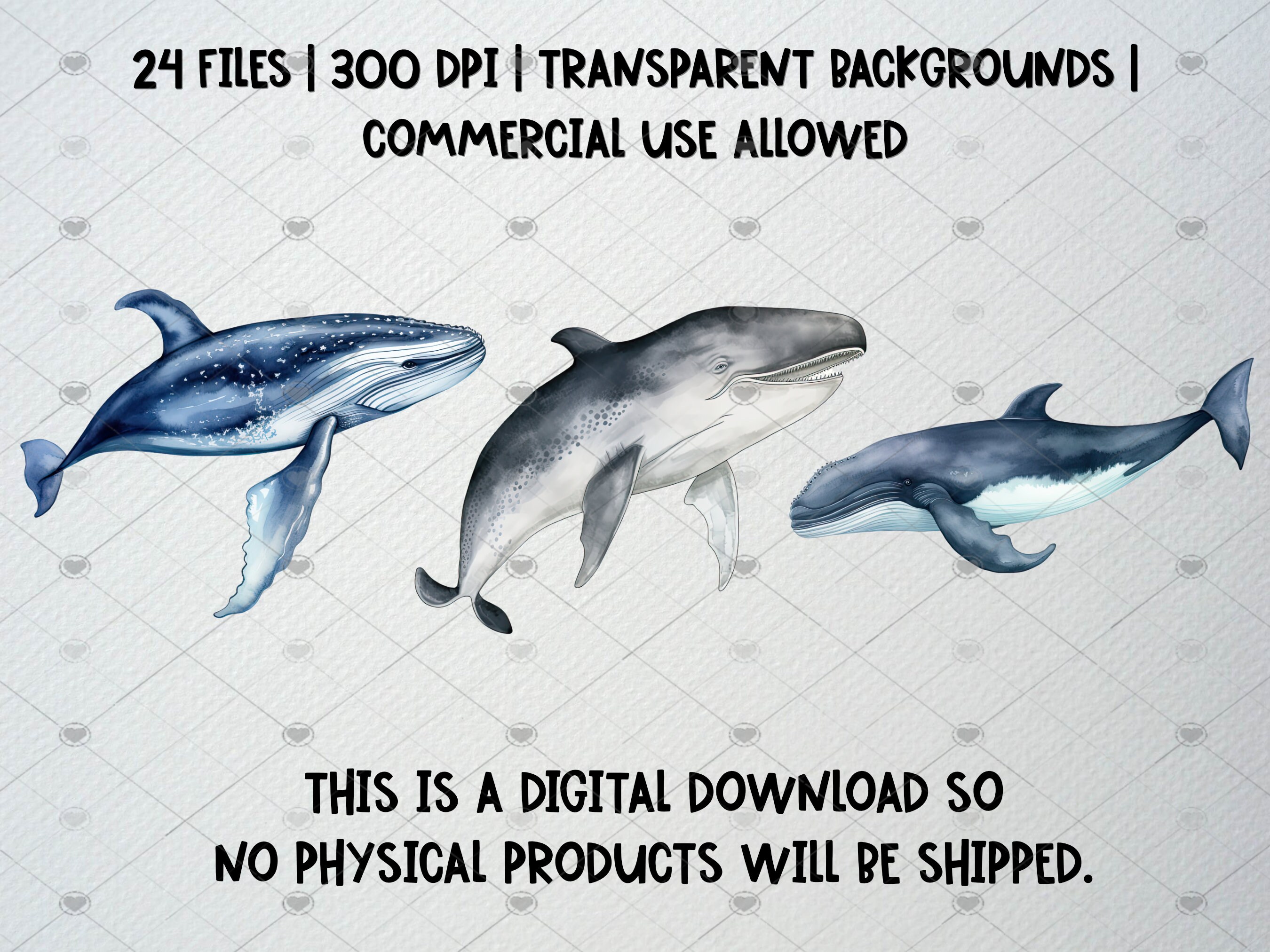 Watercolor Whale Clipart Set of 24 PNG Files, Sea Life Clipart ...