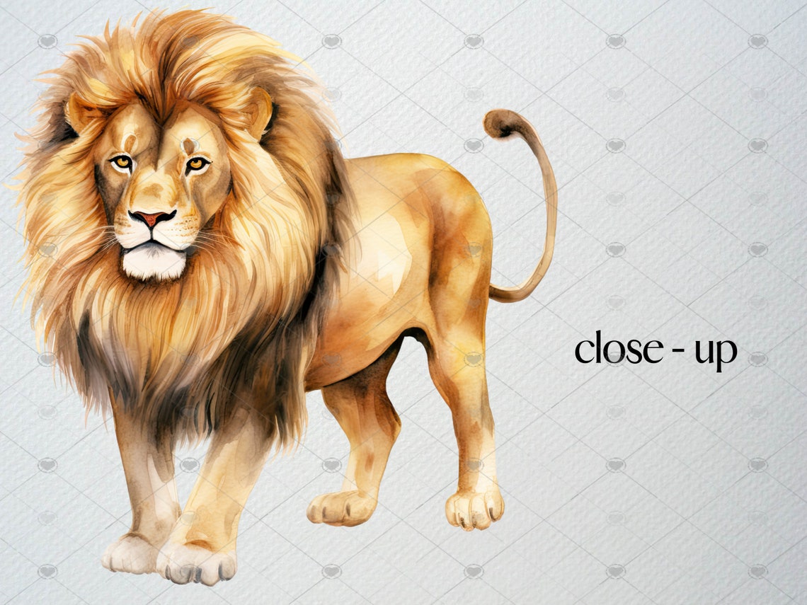 Watercolor Lion Clipart Set of 30 PNG Files, Lion Head Clipart, Baby ...