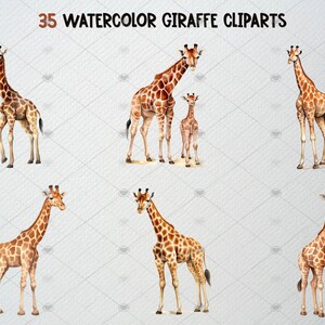 Watercolor Giraffe Clipart Set of 35 PNG Files, Baby Giraffe Clipart ...