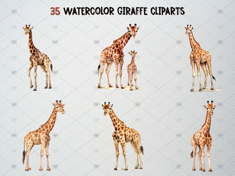 Watercolor Giraffe Clipart Set of 35 PNG Files, Baby Giraffe Clipart ...