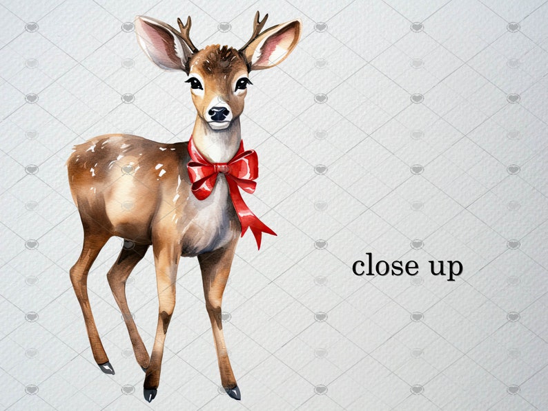 Watercolor Reindeer Clipart Set of 17 PNG Files, Christmas Clipart ...