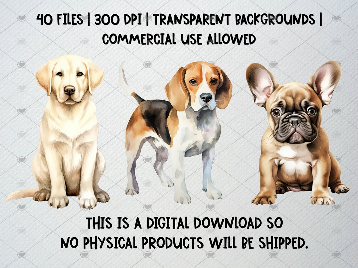 Watercolor Dog Clipart Set of 40 PNG Files, Dog Breed Clipart, Pet ...