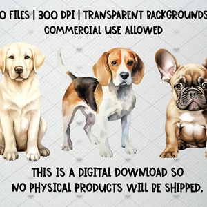 Watercolor Dog Clipart Set of 40 PNG Files, Dog Breed Clipart, Pet ...
